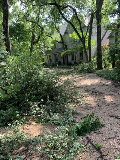 Tree Damage After Storms in Texas - DALLAS HOME WATCH